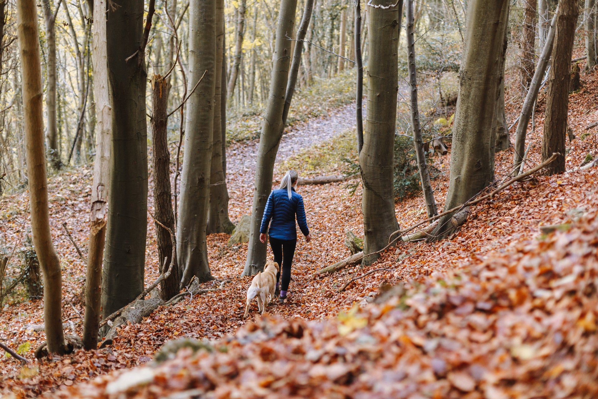 Fall 50 Challenge – My Adventure Challenge LLC